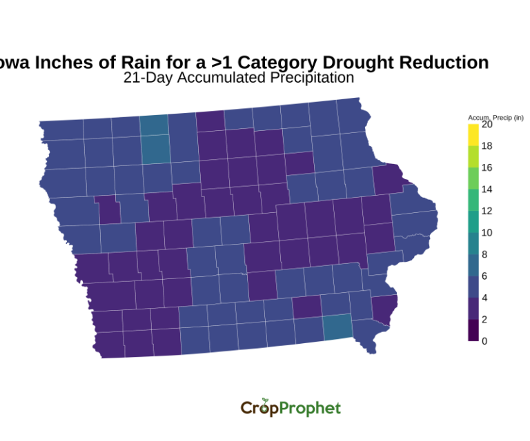 Drought Busting Rainfall Forecast?
