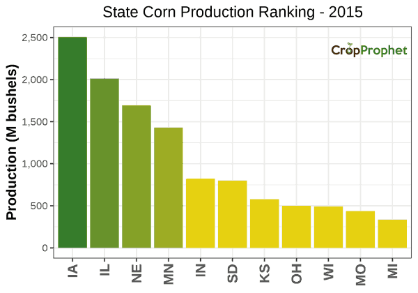 US Corn Production By State: The Top 11 Rankings [in 2023]
