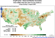 Satellite Crop Monitoring: Applications and Uses